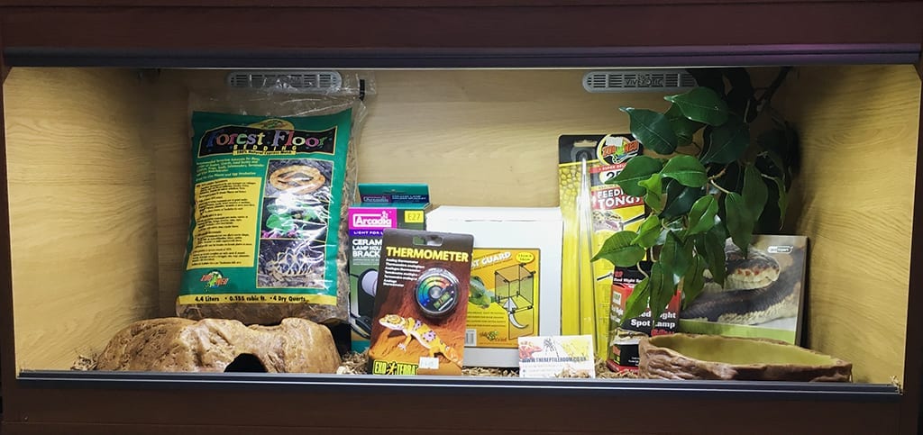 Royal Python 3ft Set Up